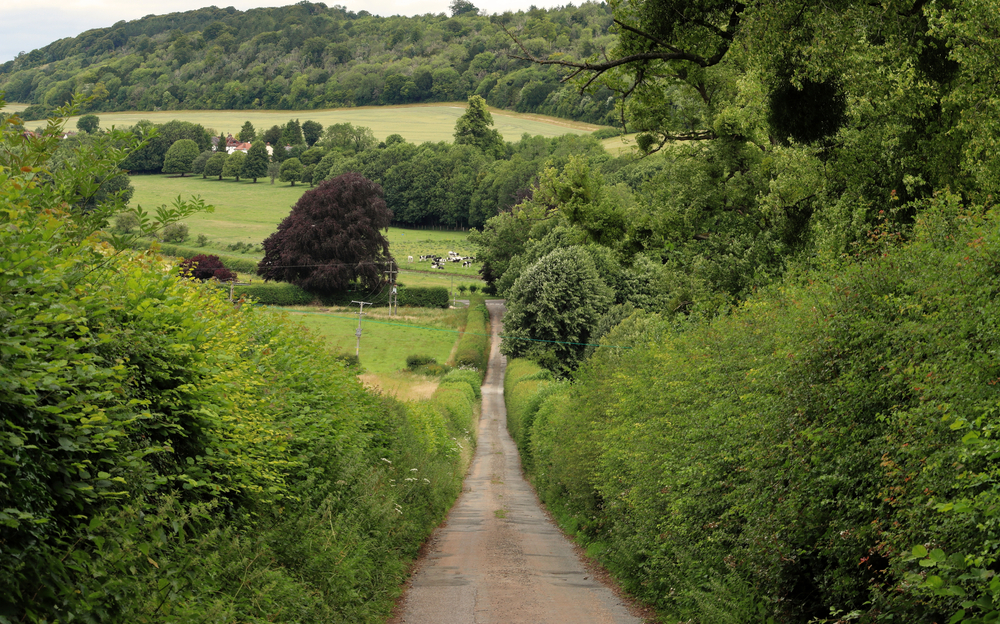 National Hedgerow Week