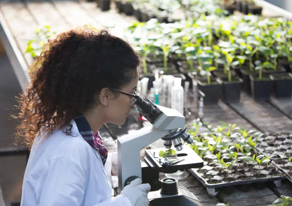 About Feeding Our Future: Exploring the Growing Field of...